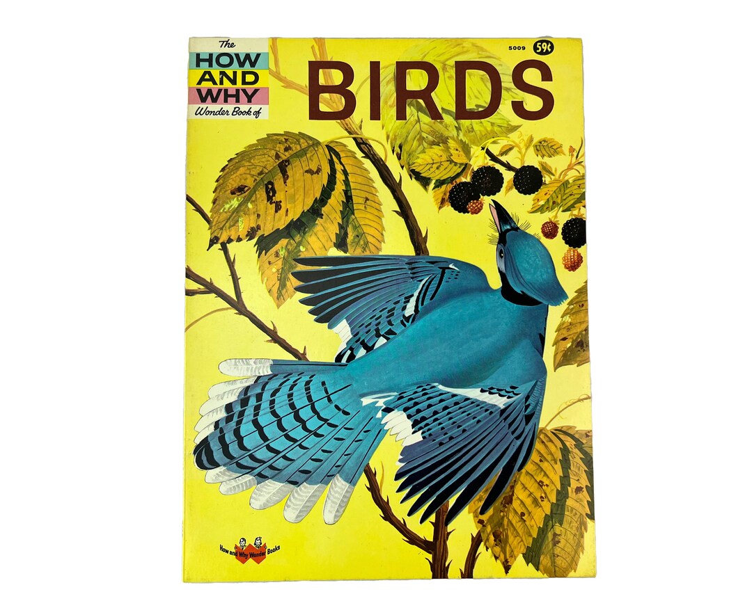 Here and Why Birds 1960 Book Booklet Soft Cover Wonder Books - Etsy