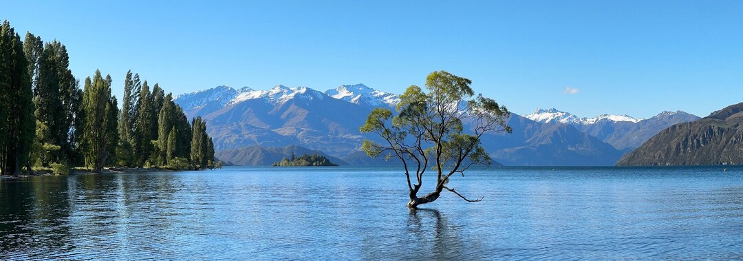 Wanaka Tree New Zealand Print: Lake & Mountain Landscape (digital ...