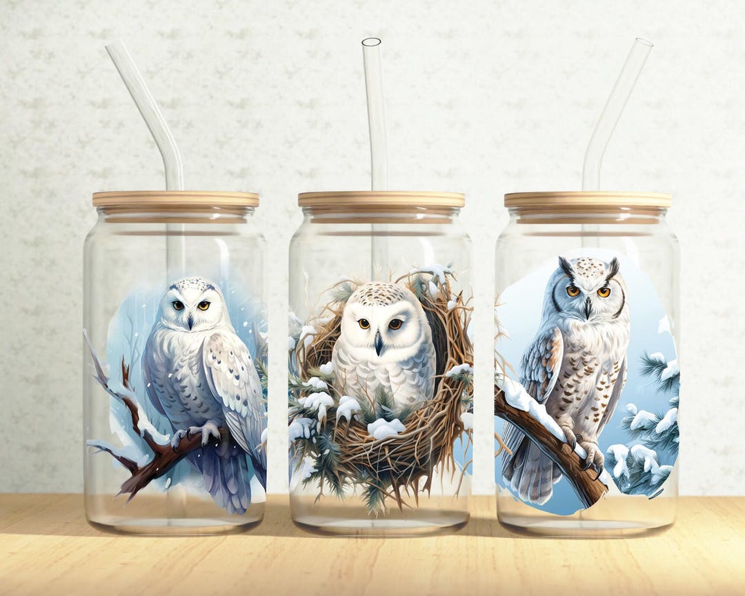 White Owls Glass Can Wrap, Owls 16oz Glass Can, Winter Snow Owl 16oz ...