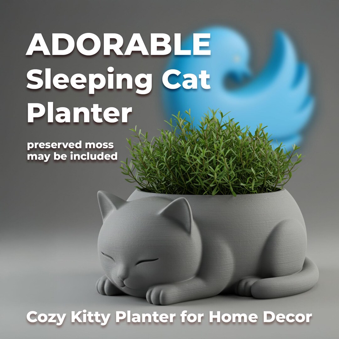 Adorable Sleeping Cat Planter - Cozy Kitty Planter for Home Decor - Etsy