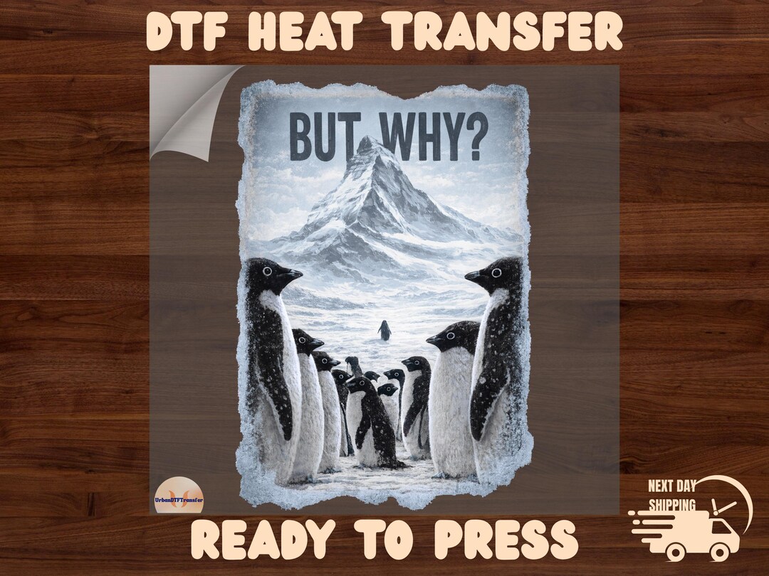 Funny Penguin DTF Heat Transfer | “but Why?” Viral Meme Design | Trend ...