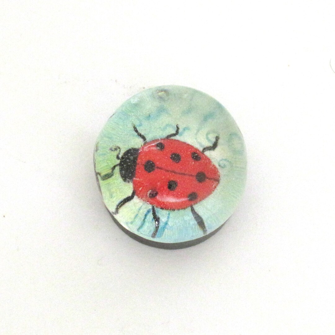 Ladybug Magnets, Set of 7, Metal Container / June Bug, Round, Glass ...