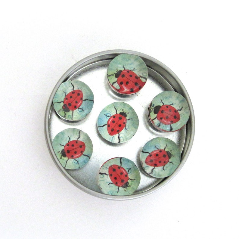 Ladybug Magnets Set of 7 Metal Container / June Bug Round - Etsy