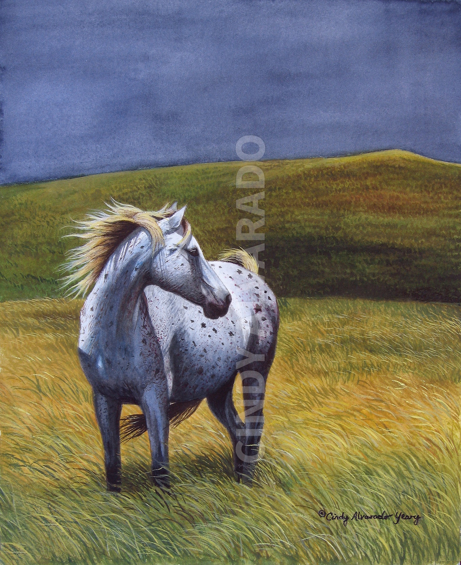 Limited Edition Horse Print "promise of Freedom" by Cindy Alvarado - Etsy