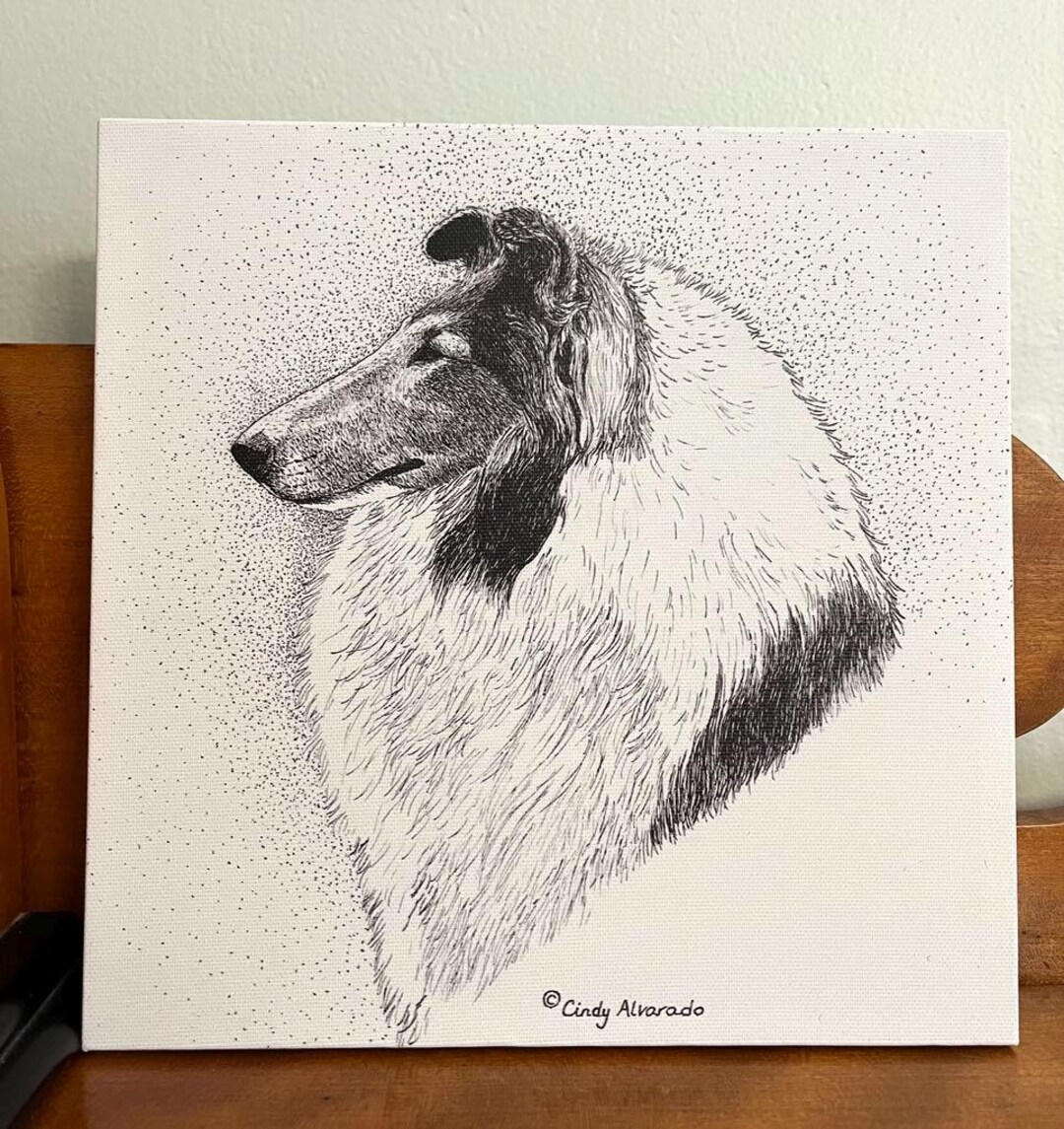 New! Collie Head Study on Canvas 8" X 8" - Etsy