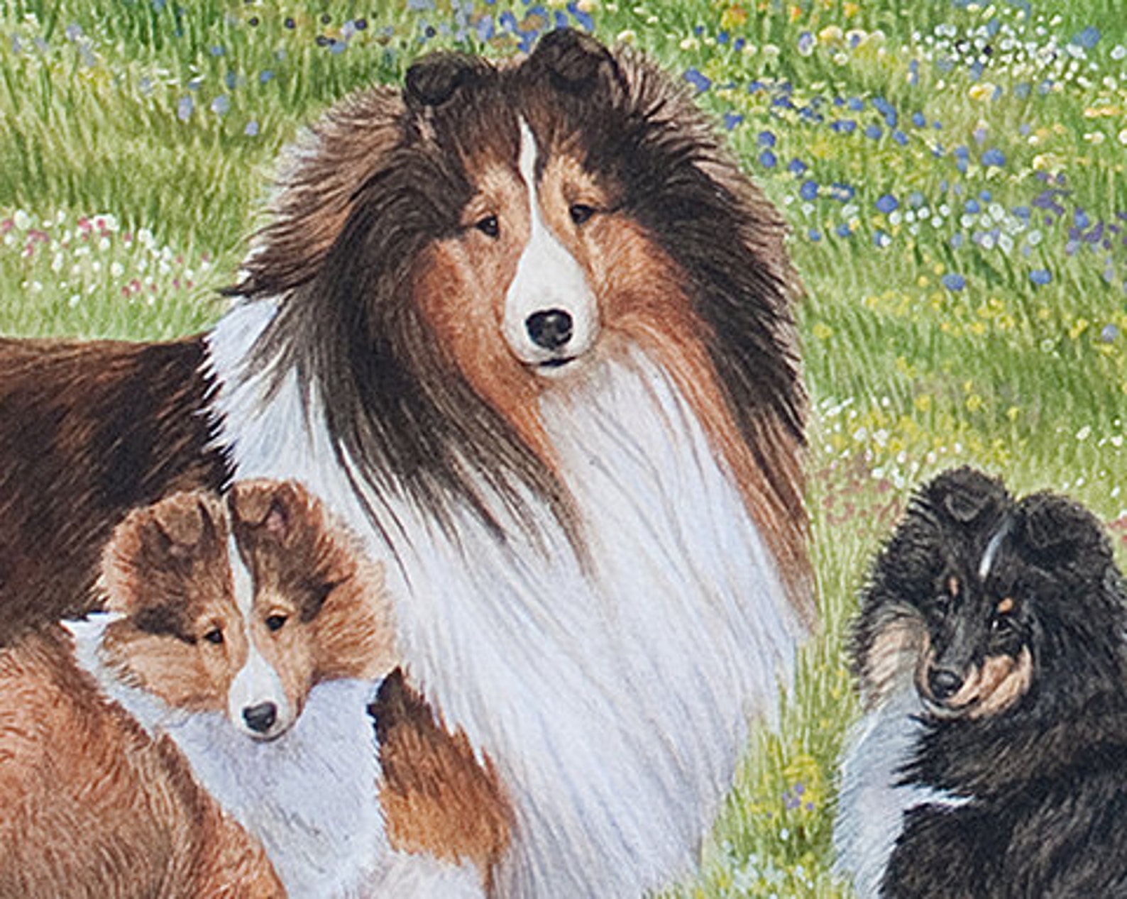 Sheltie Print spring Generation by Cindy Alvarado - Etsy