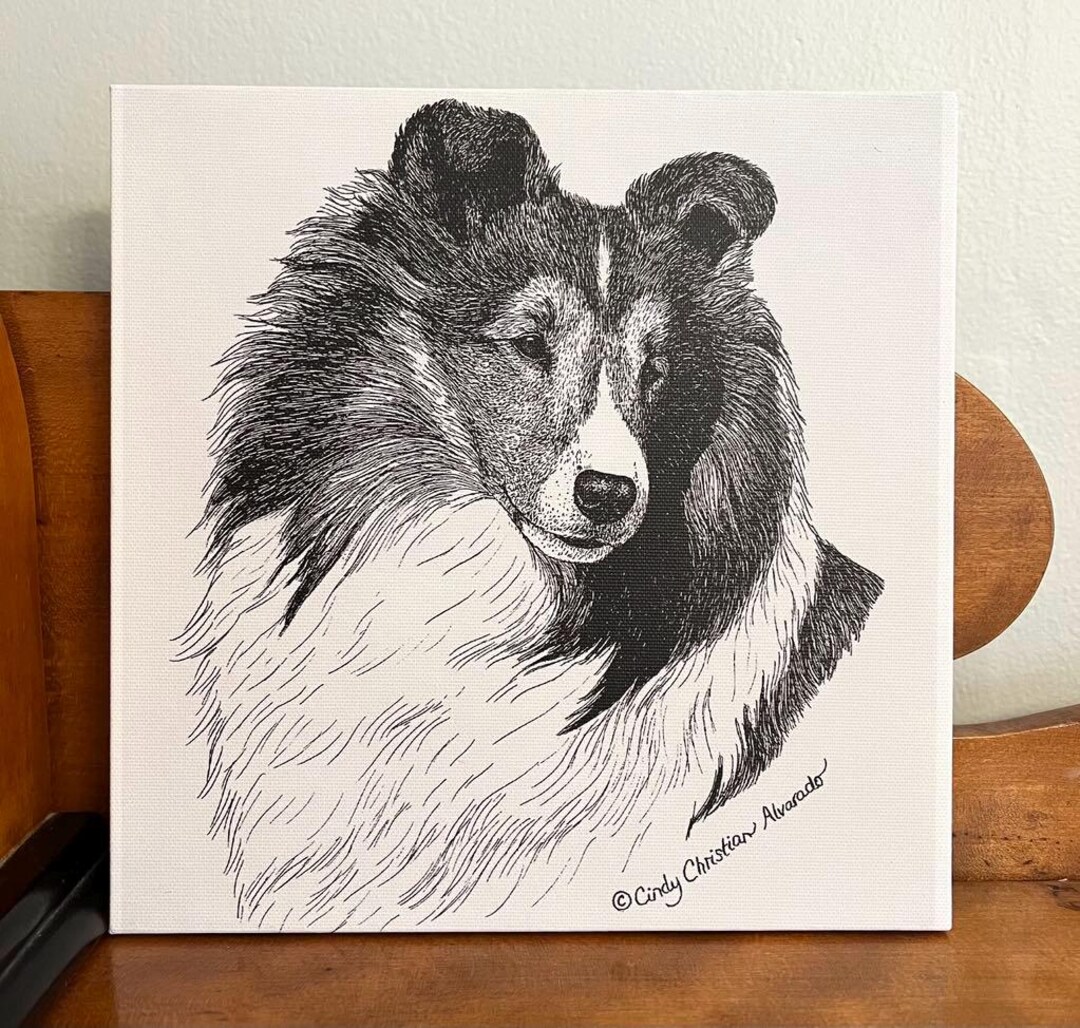 New! Sheltie Head Study on Canvas Print - Etsy