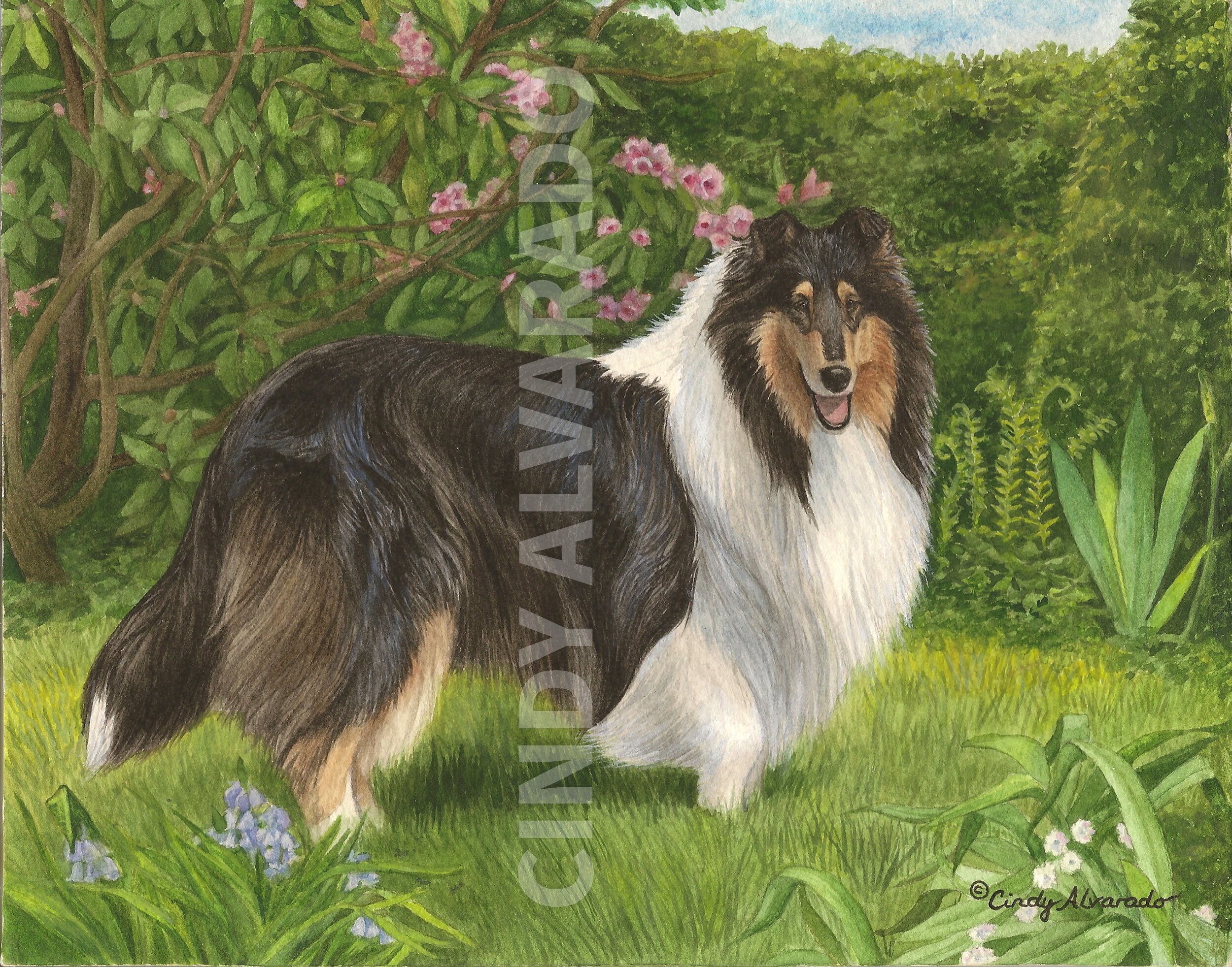 Limited Edition Collie Print enchantment | Etsy