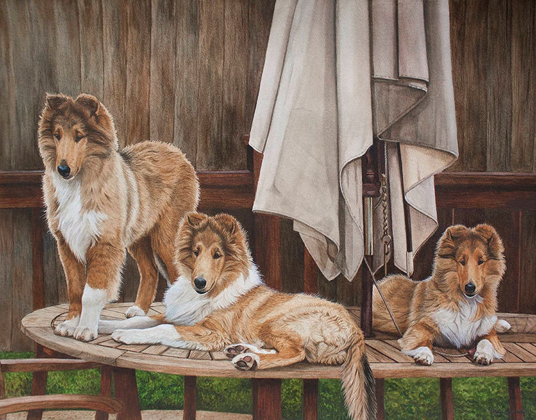 Collie Puppy Print, "the Pride" by Cindy Alvarado - Etsy