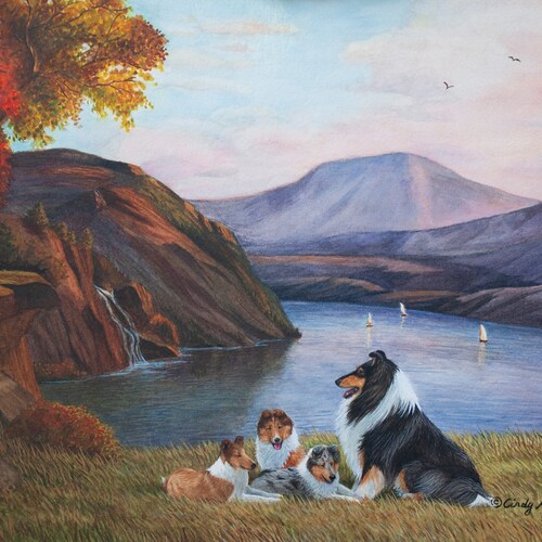 Limited Edition Collie Print enchantment - Etsy