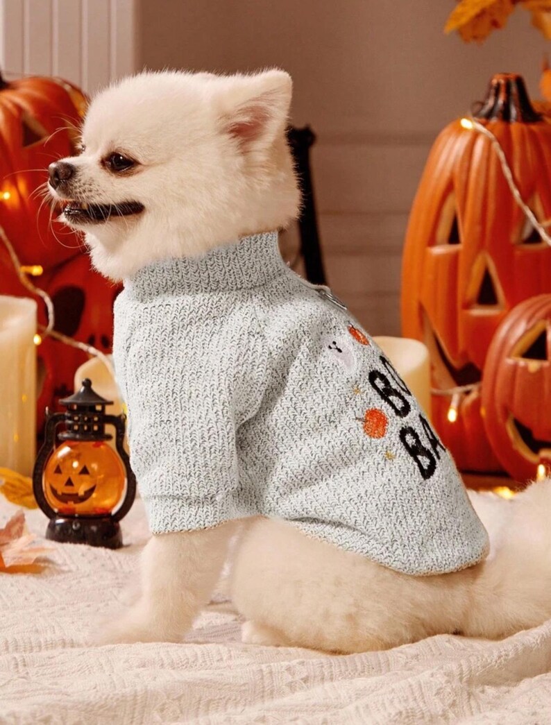 Halloween Dog Sweater Pumpkin Ghost Knit Pet Outfit | Cute Fall Clothes ...