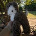 Adorable Fluffy Crochet Baby Deer Fawn Stuffy!