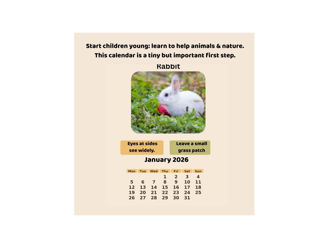 2026 Woodland Animals Calendar • Printable - Kids Nature Facts - Etsy