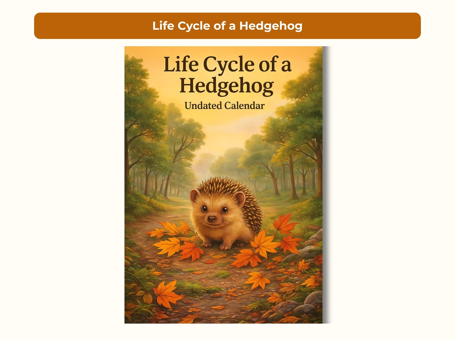 Reusable Life Cycle of a Hedgehog 2026 Calendar | 12-month Wildlife ...