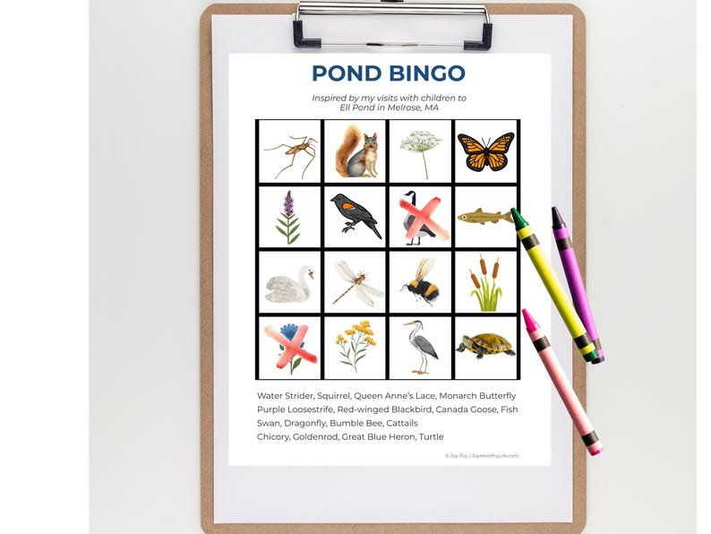 Nature Bingo Printable Set – Forest & Pond Bingo – Kids Outdoor ...