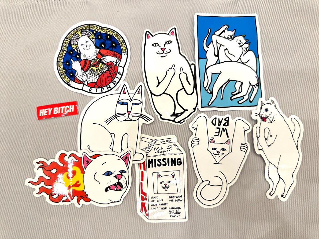 Middle Finger Cat Meme Sticker: Laptop Decal - Etsy
