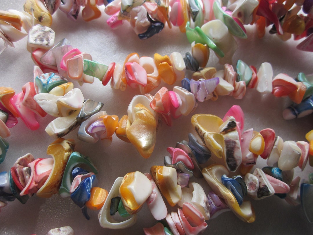 Multi Color Trochus Shell Nugget Beads 8-16mm 30 Beads - Etsy