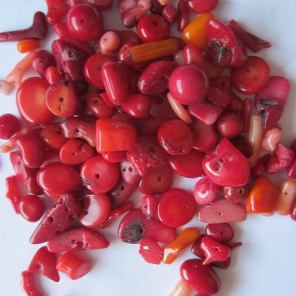 Red Coral Bamboo - Etsy
