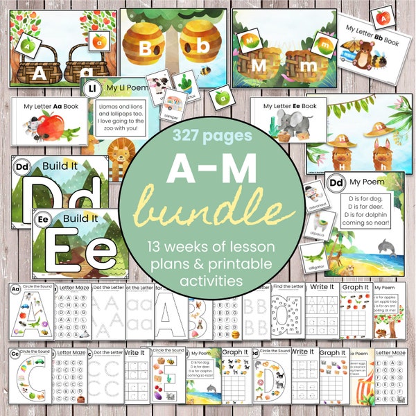 Preschool Curriculum - Etsy