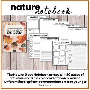 Forest Mini Unit | Preschool, Kindergarten, Elementary Homeschool ...