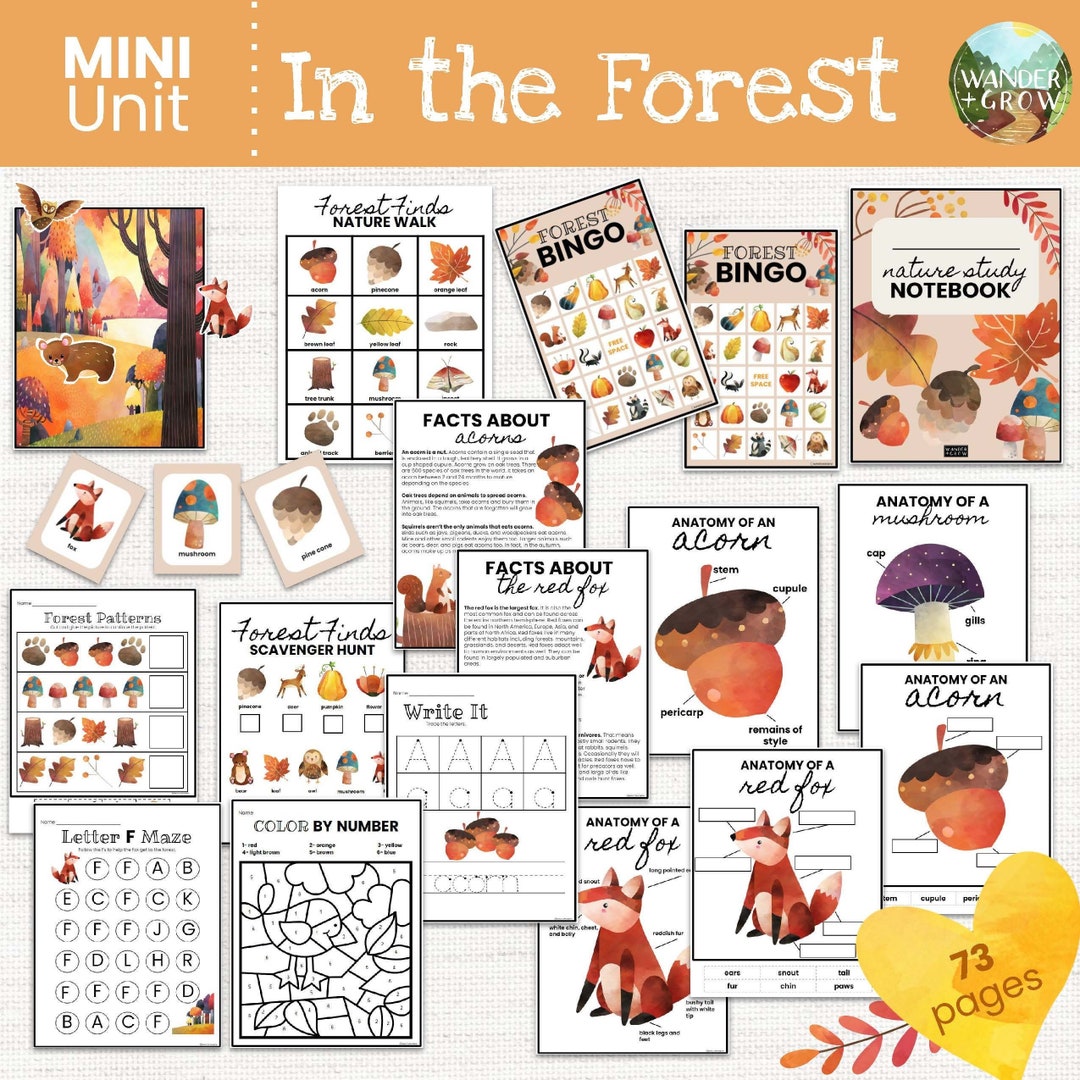 Forest Mini Unit | Preschool, Kindergarten, Elementary Homeschool ...