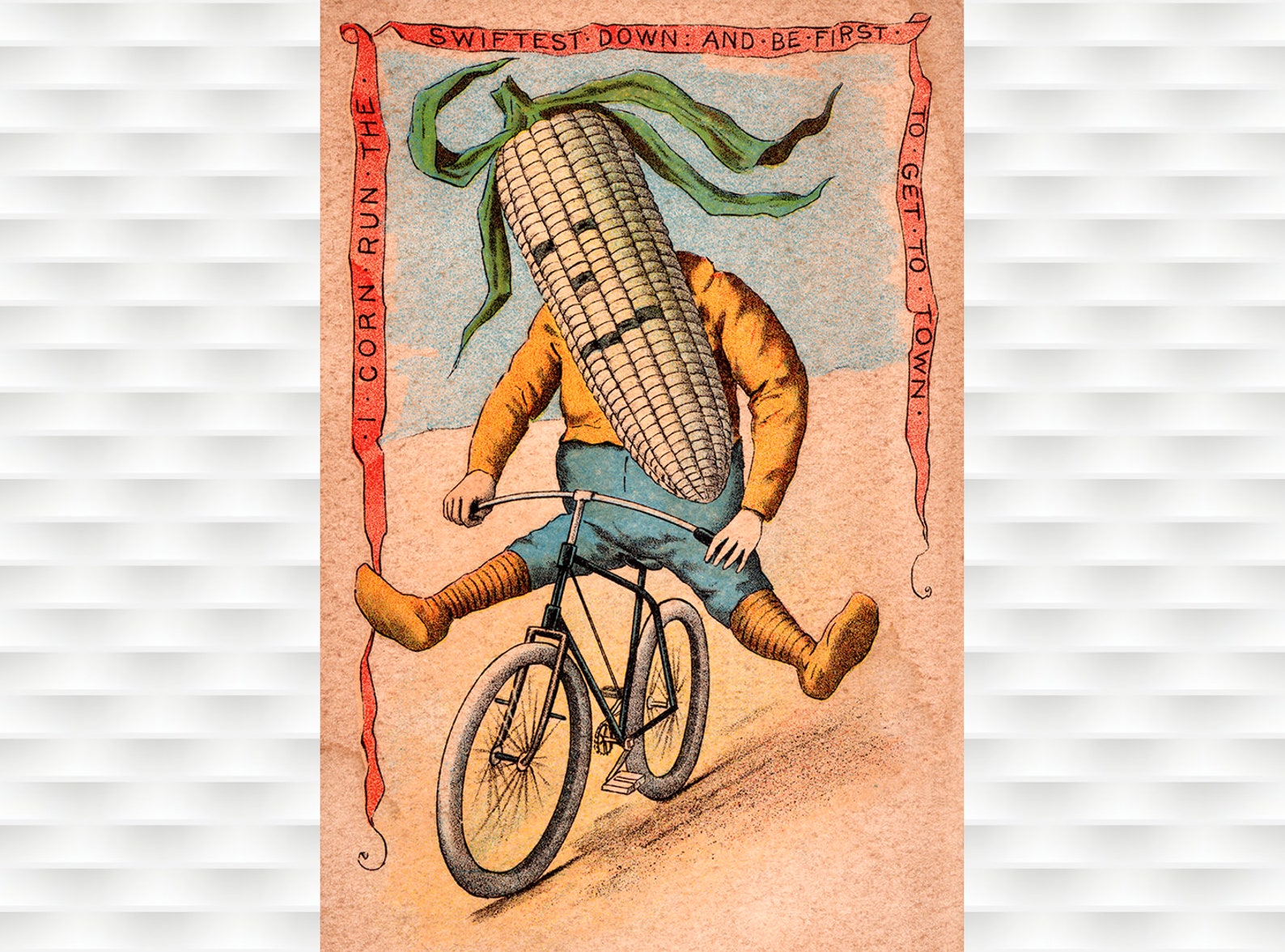 Vegetable People Corn Riding a Bicycle Cycling Poster | Etsy