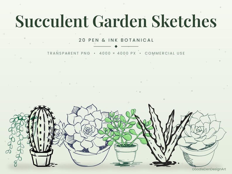 Succulent Garden Sketches | Pen & Ink Botanical Clip Art (digital ...