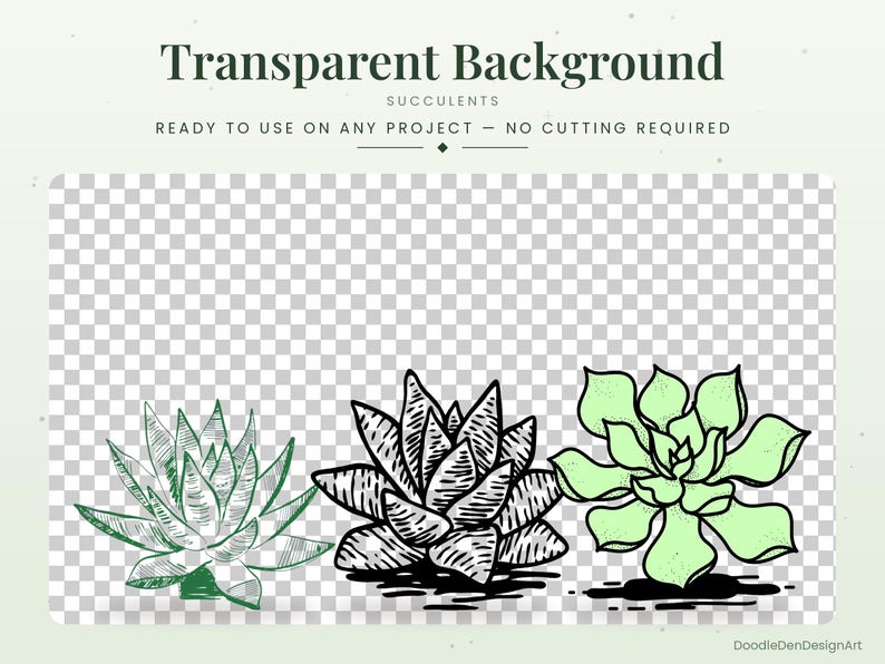 Succulent Garden Sketches | Pen & Ink Botanical Clip Art (digital ...