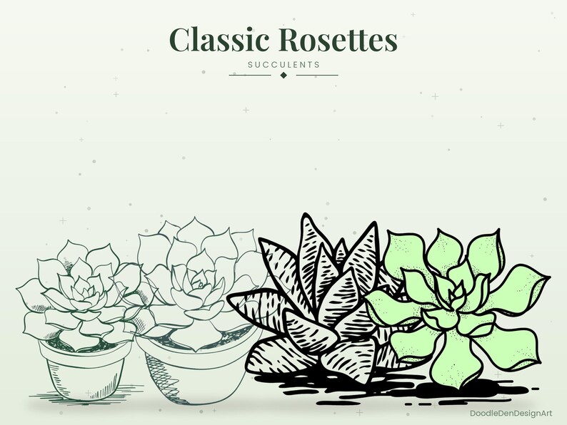 Succulent Garden Sketches | Pen & Ink Botanical Clip Art (digital ...