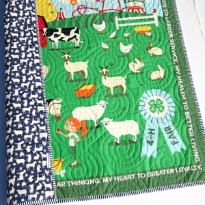 At the Fair Quilt Kit, Panel Quick Easy Fun, Beginner Project, Quilting ...