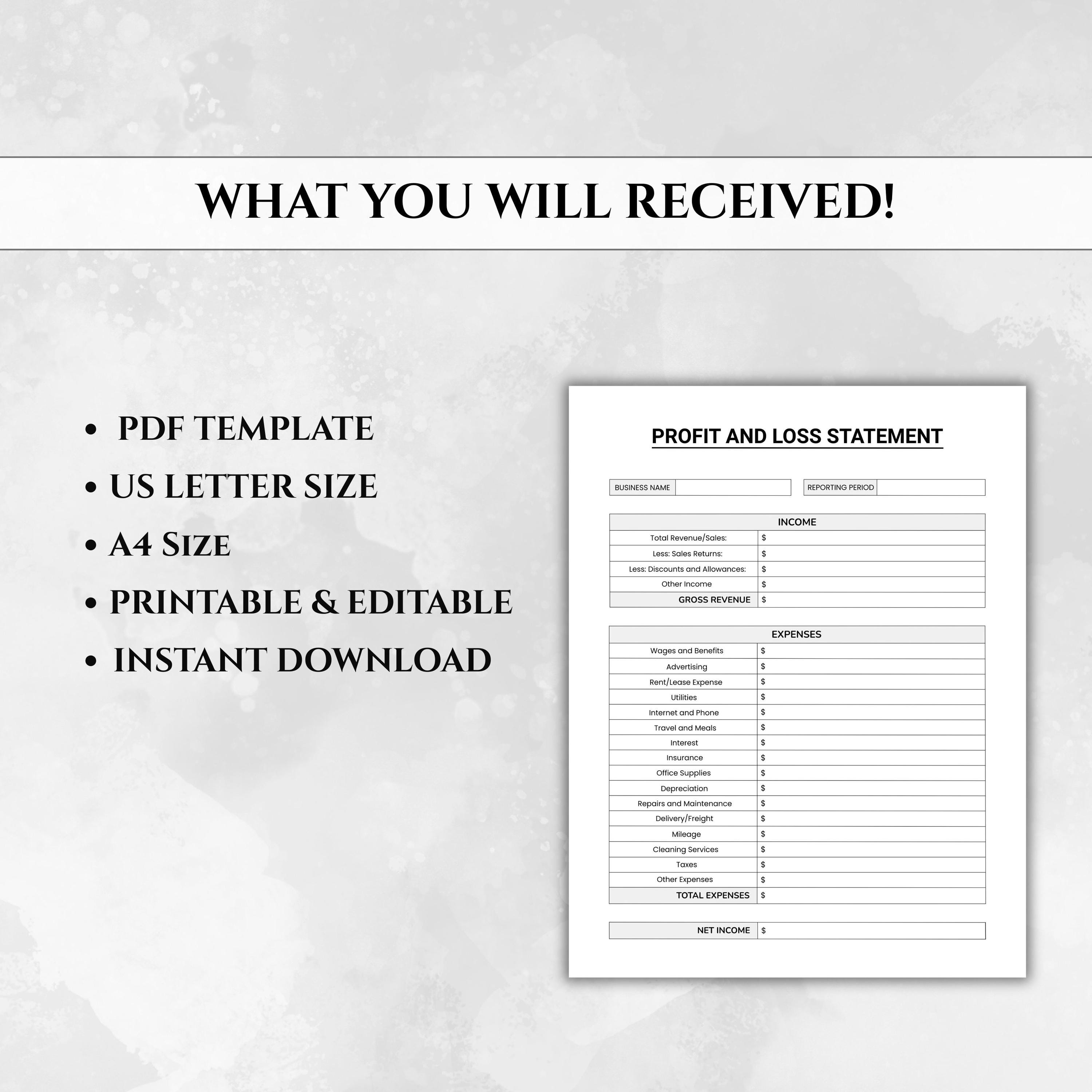 Profit and Loss Statement Template Editable | Small Business Income ...