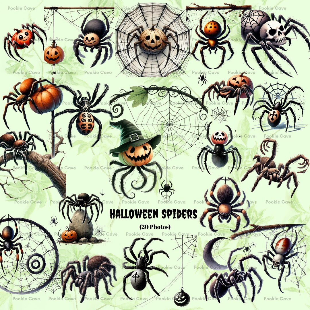 Watercolor Halloween Spider Clipart: 20 PNG Illustrations (digital ...