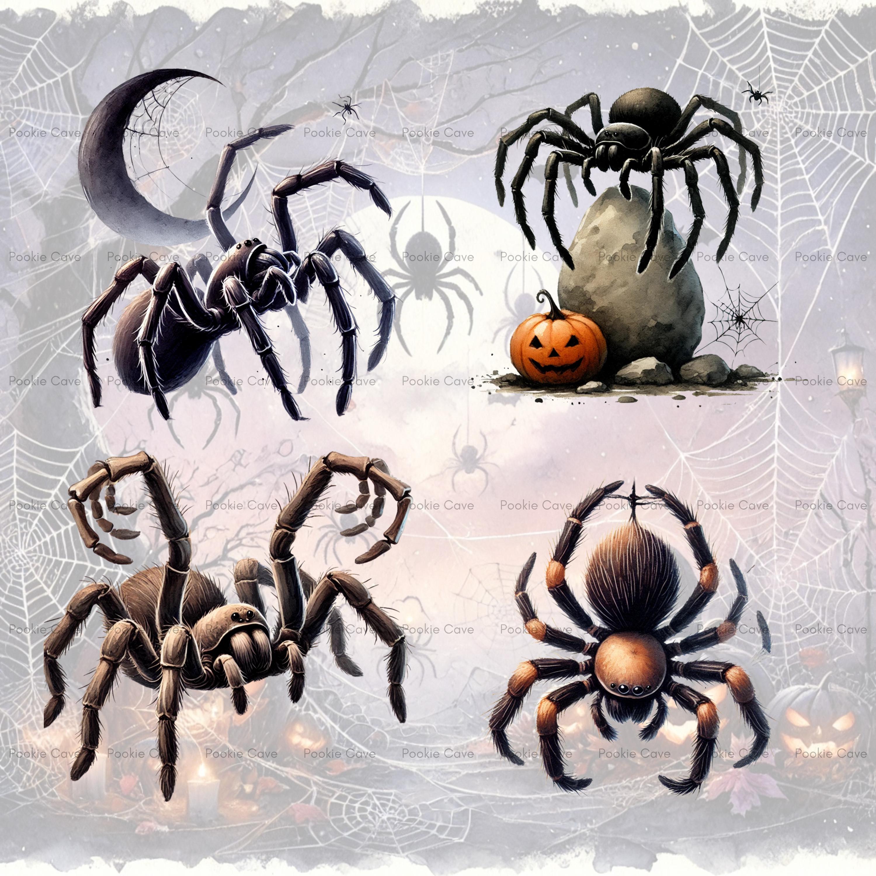 Watercolor Halloween Spider Clipart: 20 PNG Illustrations (digital ...
