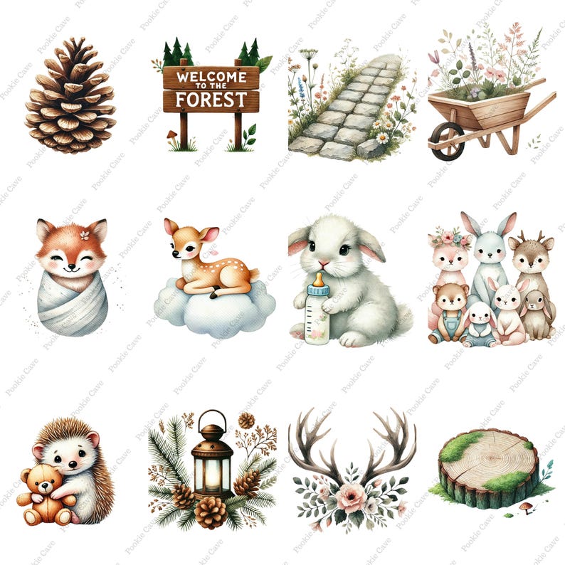 Woodland Watercolor Clipart Bundle | 50 Forest Animal & Nature Pngs ...