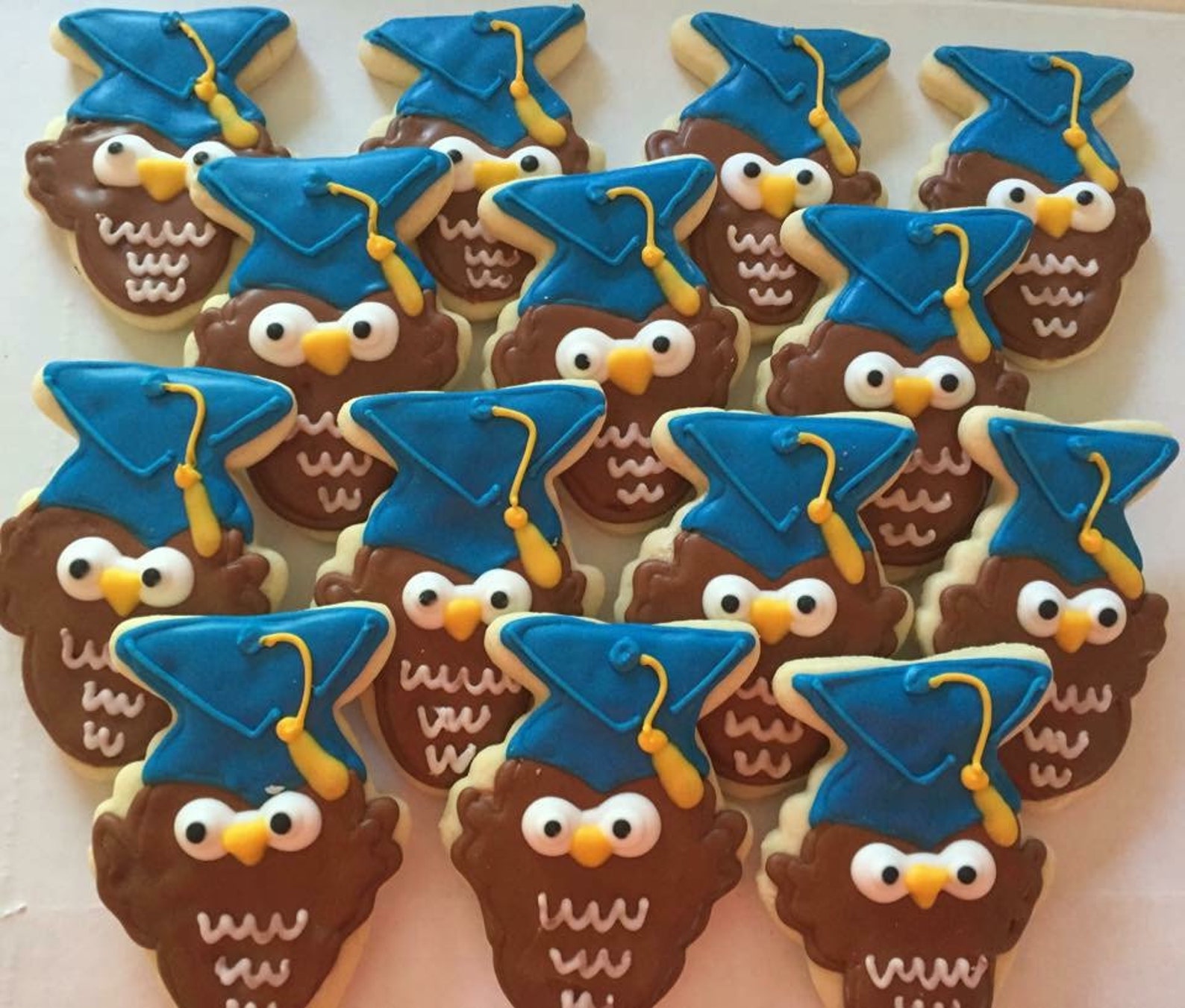 Owl Graduation Cookies, Grad Cookie, Graduation Gift, Graduation Party ...