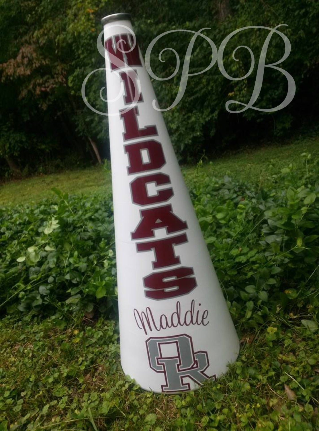 19 Cheer Megaphone Custom for Cheerleading and | Etsy