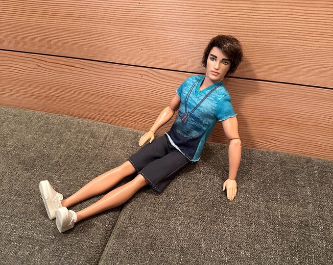 2013 Barbie Life in the Dreamhouse Ryan Fashionistas X7875 Doll Minor ...