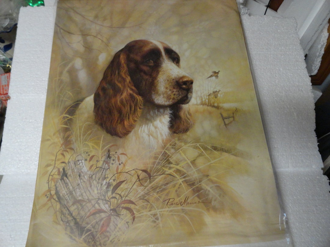 Vintage Springer Spaniel Frameable Print Hunting Dog Ruane Manning ...