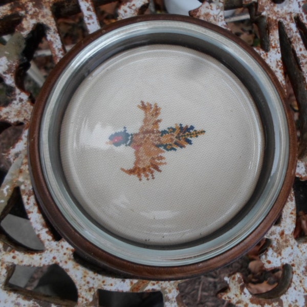 Pheasant Under Glass Etsy
