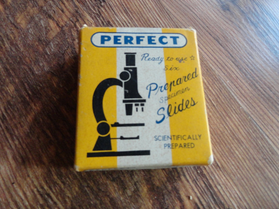 Vintage Specimen Microscope Slides Bacteria Wings of Insects Vegetables ...