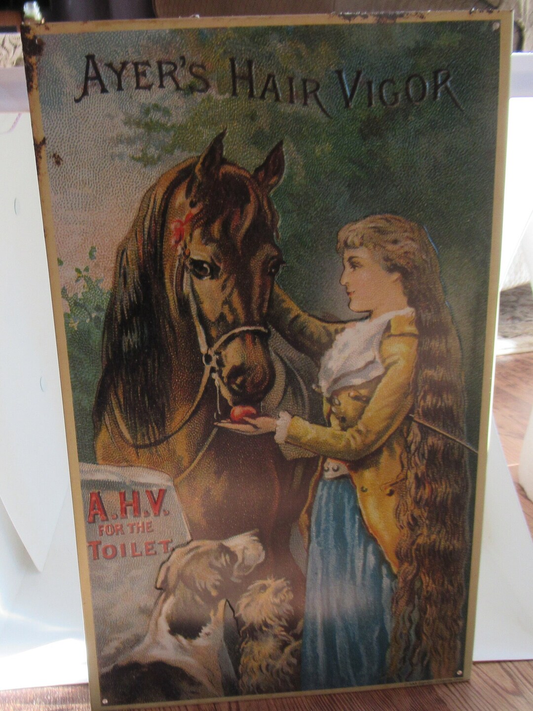 Vintage Ayer's Hair Vigor Metal Sign Reproduction Advertising From Late ...