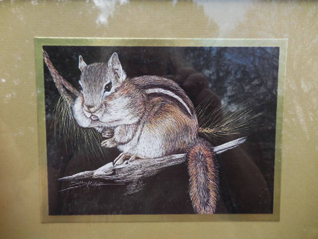 Vintage Chipmunk Brown & Black Scratchboard Art Signed Sally Miller Gold Tone Metal Framed Art ...