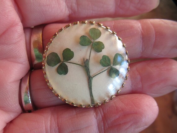 Vintage Women's Shamrock Pin Good Luck Round Brooch 3… - Gem