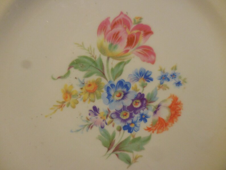 Vintage 1930s to 1950s Dinner Plate Flowers/floral Retro | Etsy