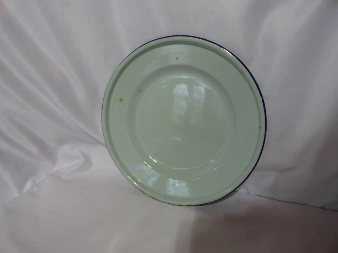 Vintage Light Green & Blue Enamel Plate Sturdy Pines Luncheon Size ...