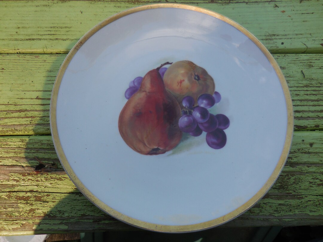 Antique Paul Muller Selb Fruit Motif Plate Bavarian Decorative Plate ...