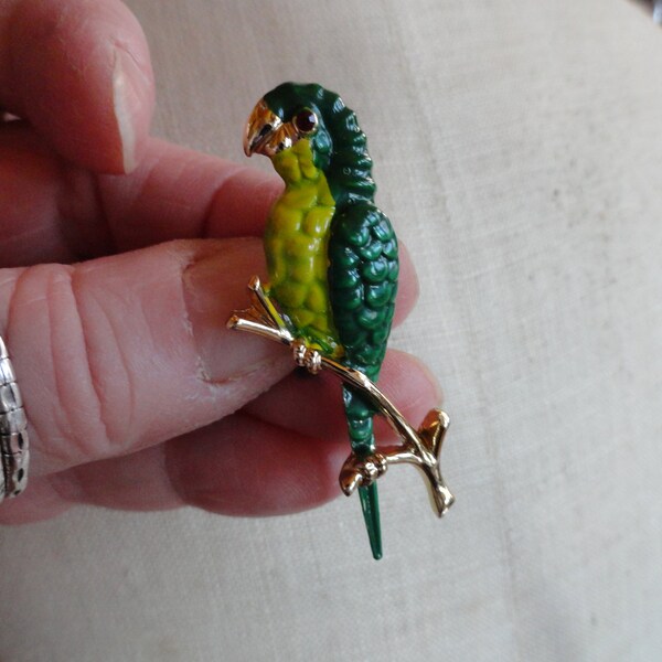Parrot Pins - Etsy