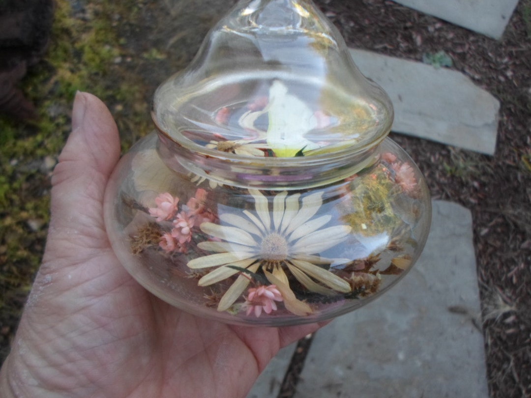 Vintage Tapered Glass Jar & Lid Dried Flowers and Butterfly 1960s 1970s ...