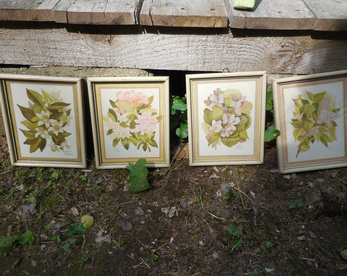 Vintage 1930s to 1940s Set of Four Herbert Everett Marsden Botanical ...