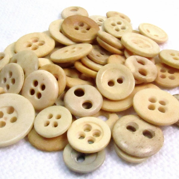 Bone Button - Etsy
